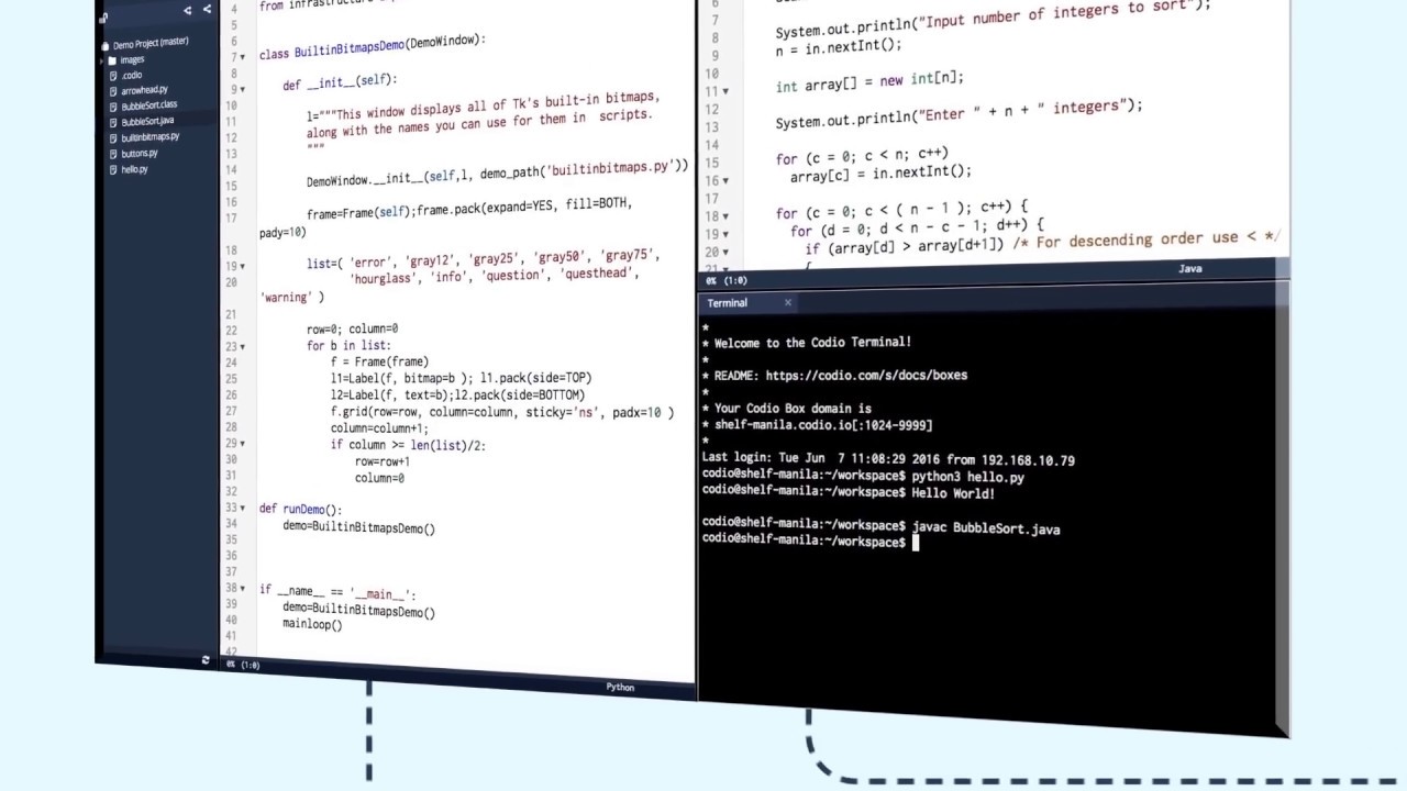 Codio's Online IDE for computer science education