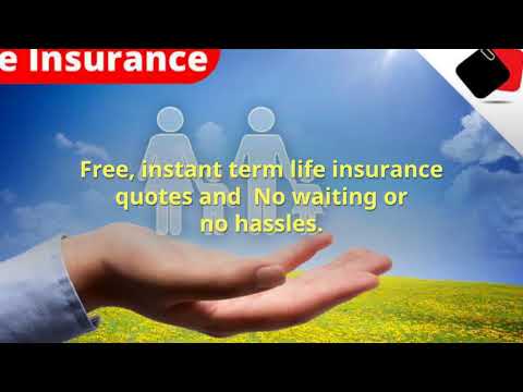 Term Life Insurance Quotes