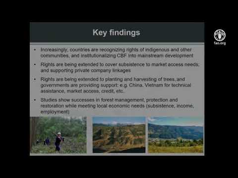 Overview of FAO Forestry’s work on social forestry
