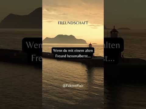 Die Magie der Verbundenheit: Zitate, die die Bedeutung von Freundschaft einfangen