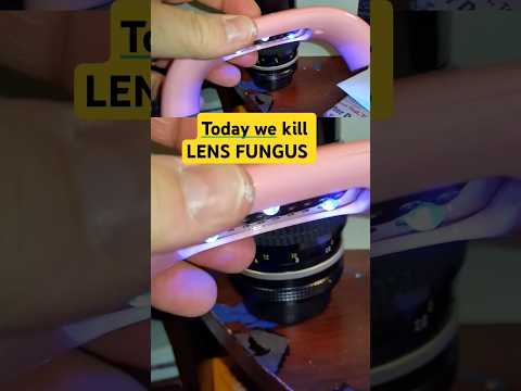 Nikon Camera LENS FUNGUS Killed with UV Light #photography #camera #nikon #lens #fungus #uv #photos