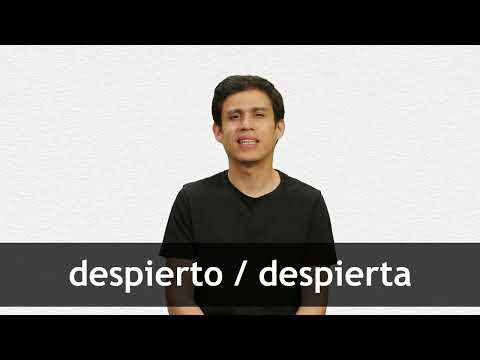English Translation of “DESPIERTO” | Collins Spanish-English Dictionary
