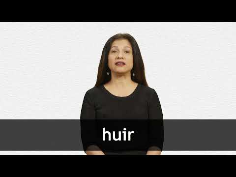 English Translation of “HUIR” | Collins Spanish-English Dictionary
