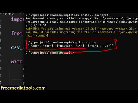 How to Convert CSV to Excel File using openpyxl in Python