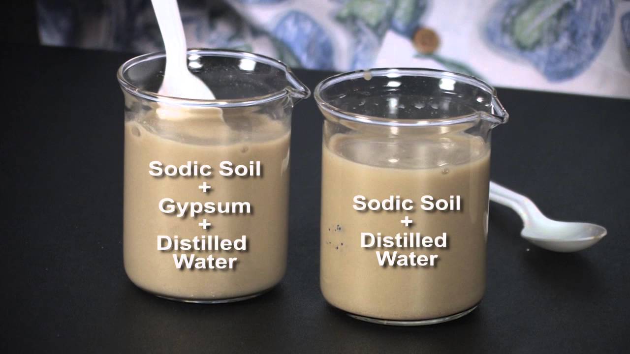 Visualizing Soil Properties: Dispersion and Flocculation