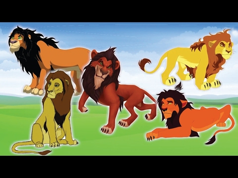 Best Finger Family Rhymes | Wild Animals,Chair ,Flowers Rhymes | Nursury Rhymes For Kids