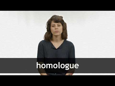 English Translation of “HOMOLOGUE” | Collins French-English Dictionary