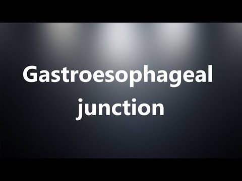 Gastroesophageal junction - Medical Definition and Pronunciation