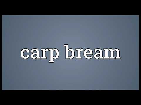 Carp bream Meaning
