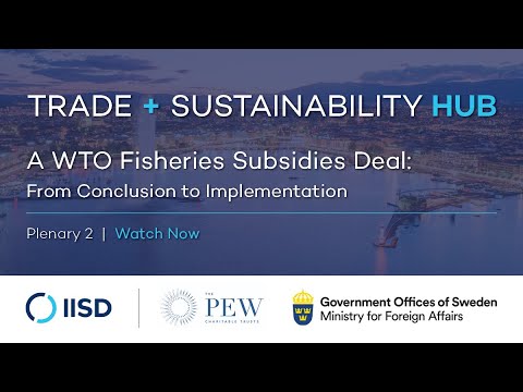 Webinar | A WTO Fisheries Subsidies Deal: From Conclusion to Implementation