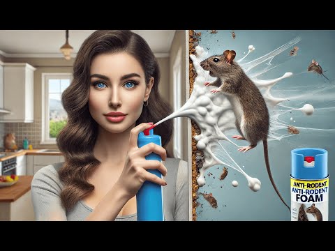 🐭 Grandpa Gus's Extra-Strength Mouse Repellent Pouches | Best Anti Rodent Foam 🚫