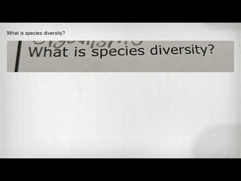 What is species diversity?