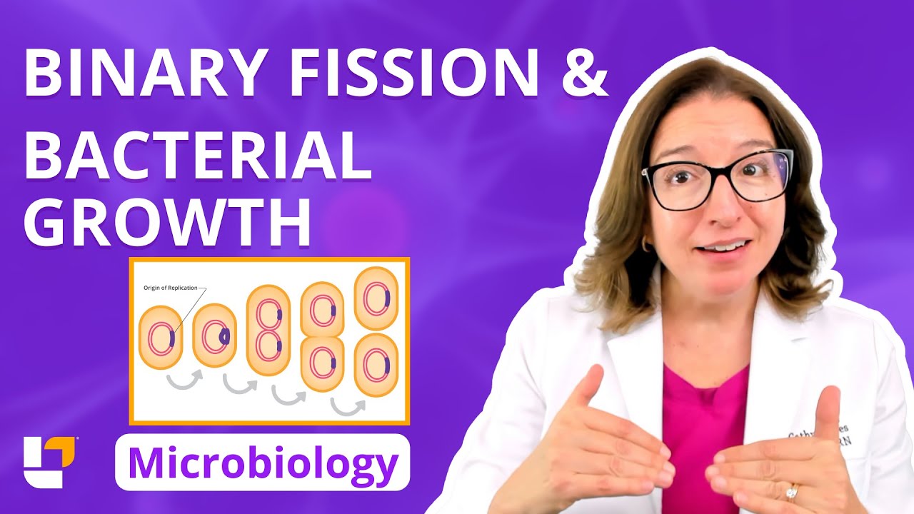 Binary Fission & Bacterial Growth: Microbio Pre-Nursing, Pre-Med & Health Field Careers | @LevelUpRN