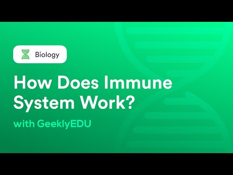 #GeeklyHub How Does Immune System Work? | Adaptive vs Innate Immunity