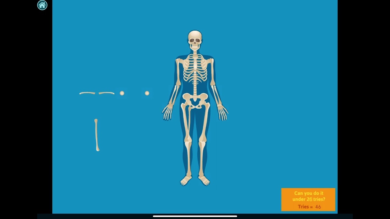 Abcya skeleton system ￼