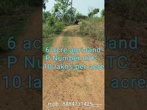 6 acre P number agri-land near Halaguru, Malavalli. contact : 8884731425