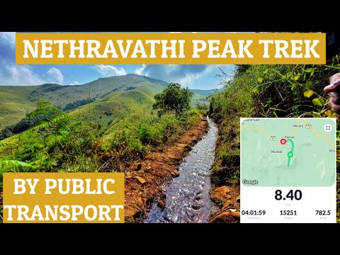 Netravati Peak | Netravathi Peak Trek by Public Transport | Netravati Peak complete guide