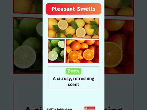 Pleasant Smells πΈ | Fragrance, Aroma & More | English Vocabulary #shorts