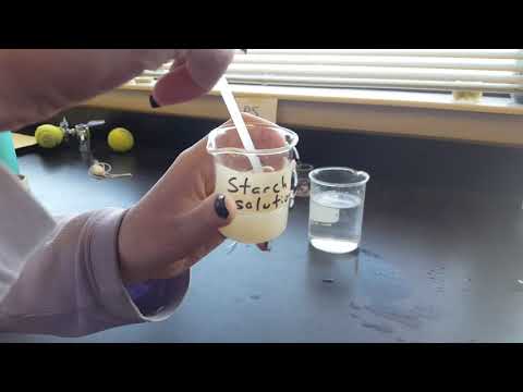 Dialysis Tube Starch Cell