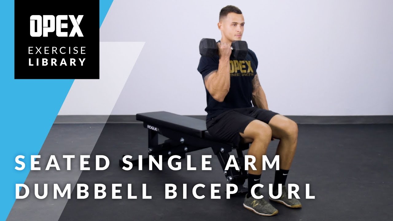 Seated Single Arm Dumbbell Bicep Curl - OPEX Exercise Library