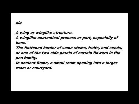 ala meaning