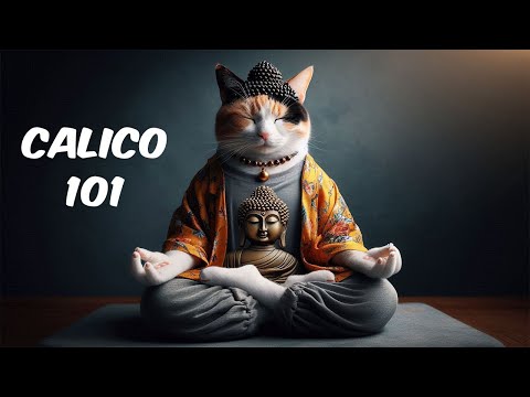 Calico Cats 101 - Everything You Need To Know About Calico Cats