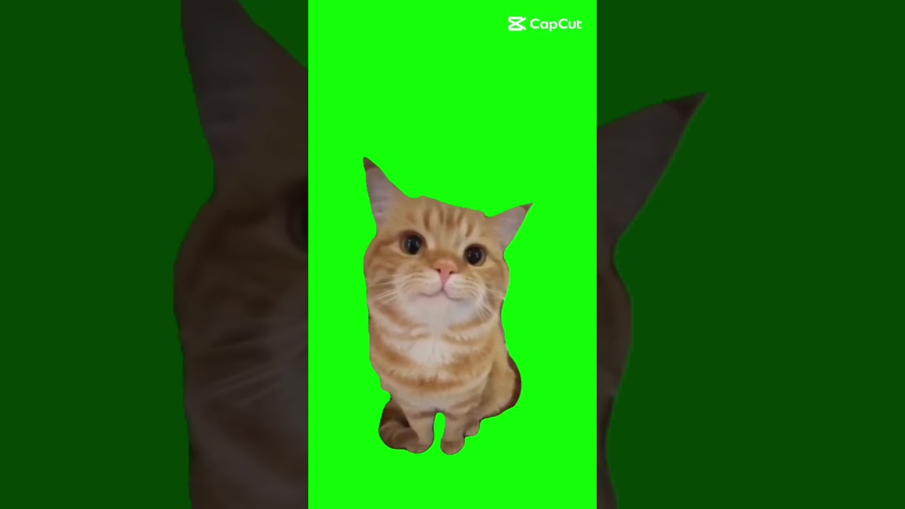 smiling cat meme|green screen