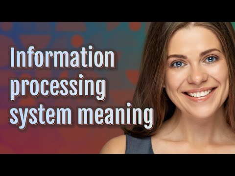 Information processing system | meaning of Information processing system