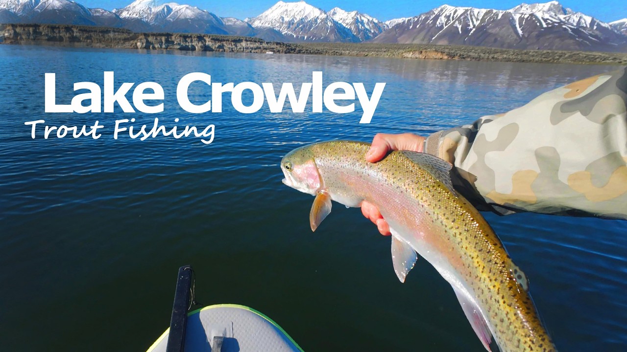 Lake Crowley Eastern Sierra Rainbow Trout Fishing
