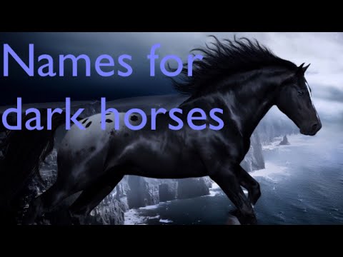 Good names for Dark horses