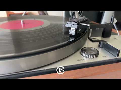 Dual 1229 + Shure M91E
