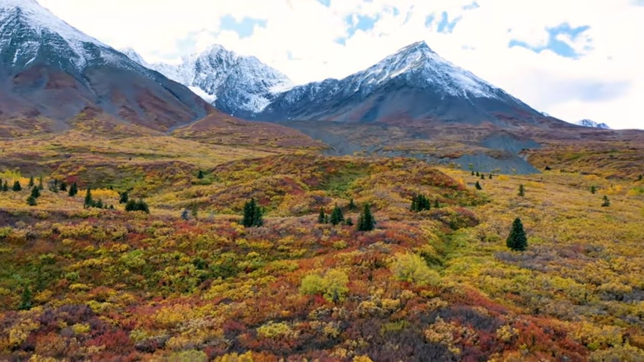 The Auriol Trail - Kluane National Park and Reserve