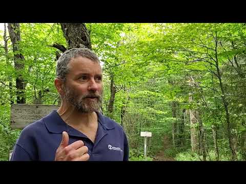 The A.T. in Its Second Century - A Network of Trails | Appalachian Trail Conservancy