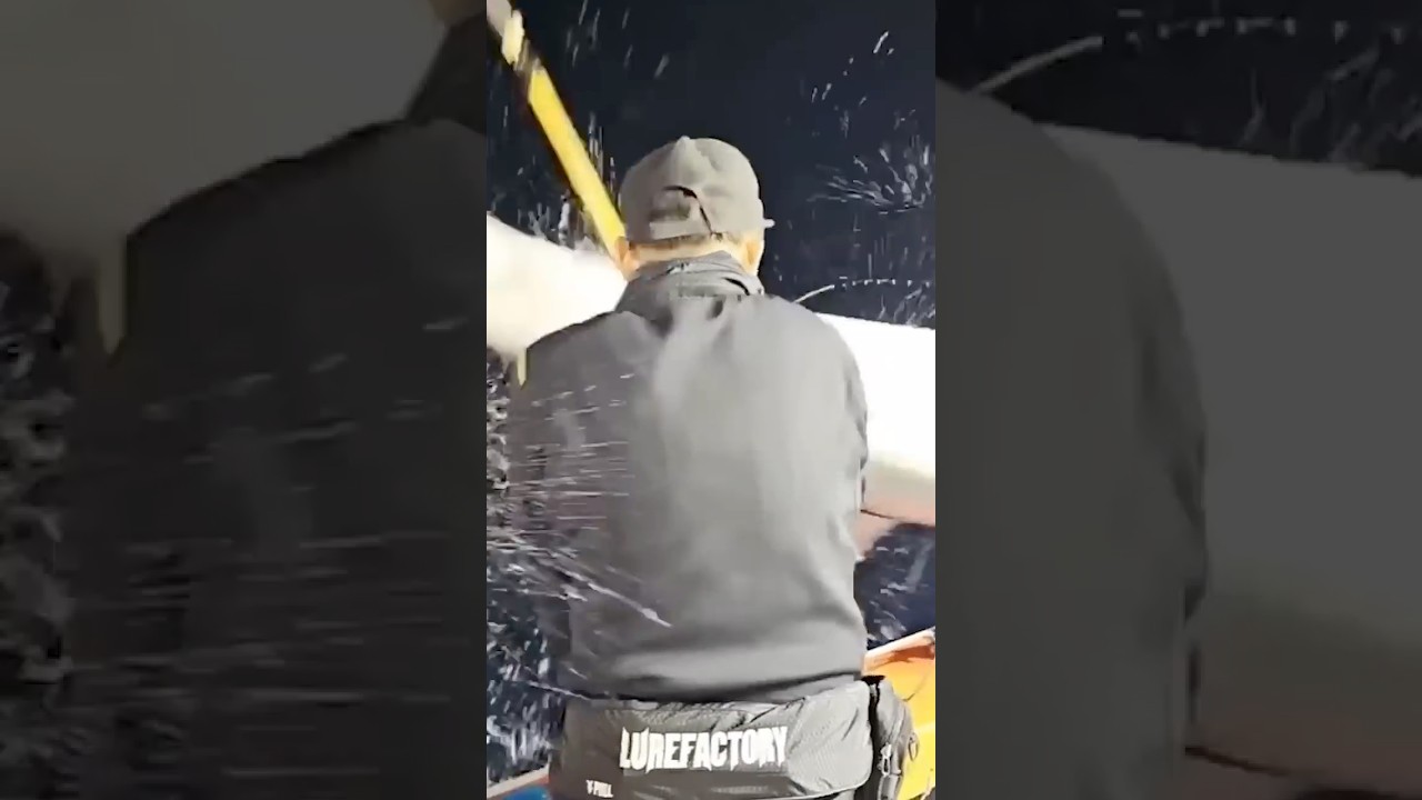 WATCH: Huge 7-foot shark leaps onto boat in South Korea #shorts ...