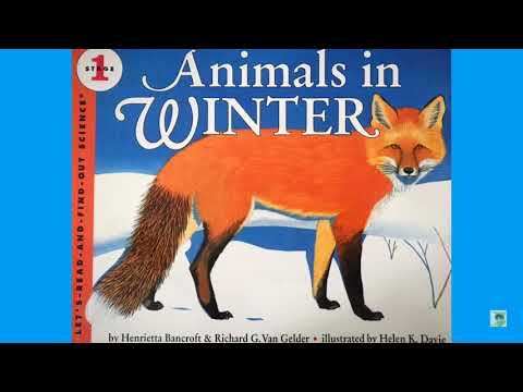 Animals in Winter by Henrietta Bancroft and Richard G. Van Gelder
