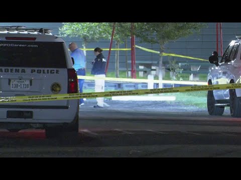 Did Serenity Delgado help Cruz Martinez hide Nathaniel Navarro’s body ...