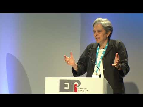 The EPI and the Global Environmental Facility