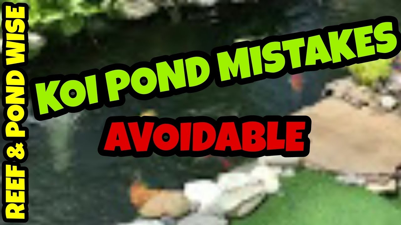 Koi pond MISTAKES should be AVOIDED. ROOKIE mistake.