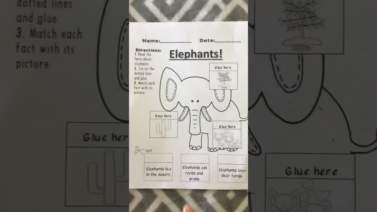 Elephant worksheet