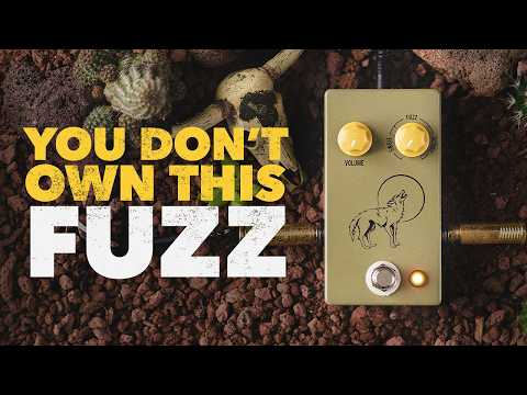 JHS Coyote Fuzz 2026 - Present - Olive | Reverb