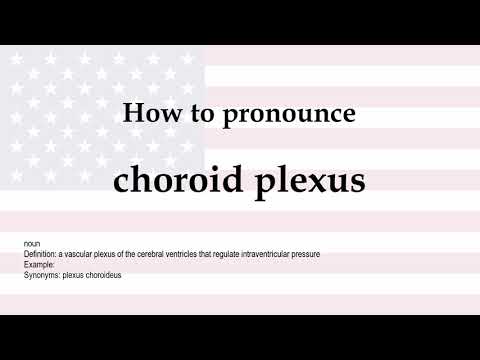 How to pronounce 'choroid plexus' + meaning