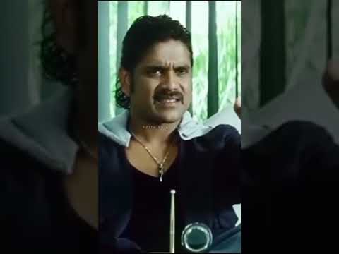 Don no 1 nagarjun action shorts _🔥 #shorts #nagarjuna #king
