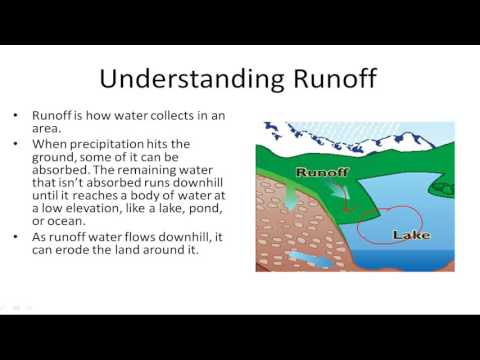 Understanding Runoff