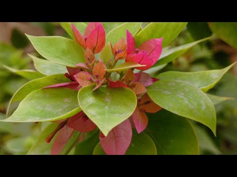 Nature photos compilation.
