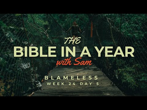 #120  |  Week 24 Day 5  |   Blameless