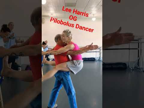 Microdose Pilobolus - Lee Harris OG dancer. he insisted on someone doing a stick. Hannah obliged!