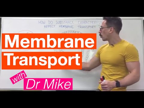 Membrane Transport | Biochemistry