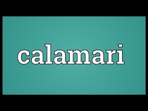 Calamari Meaning