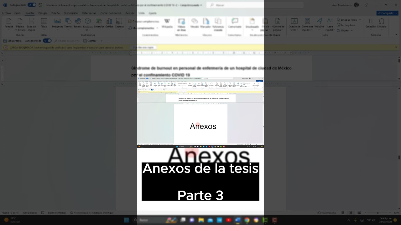 Annexes to the thesis part 3