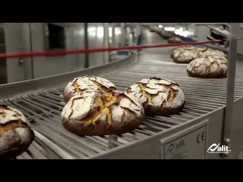 ALIT Conveyors & Food Processing - Company Profile